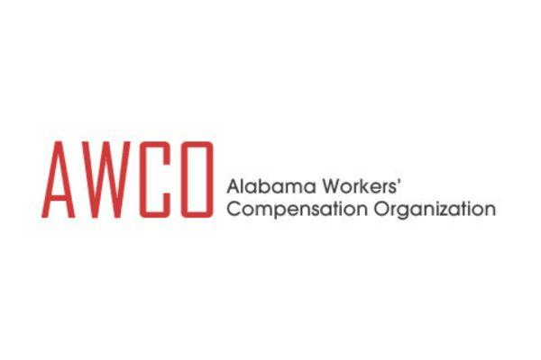 Elite Orthopedics and Spine Attends AWCO 2024 Annual Seminar